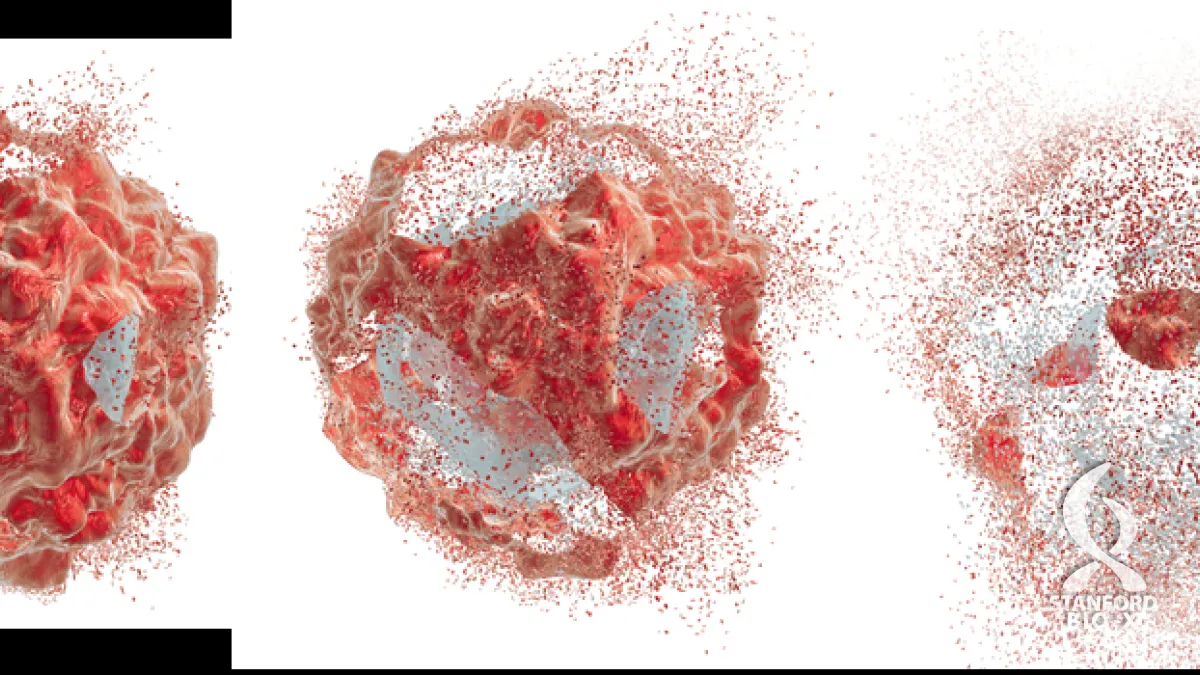 A cell’s “self-destruct” function could yield new therapies | Welcome ...