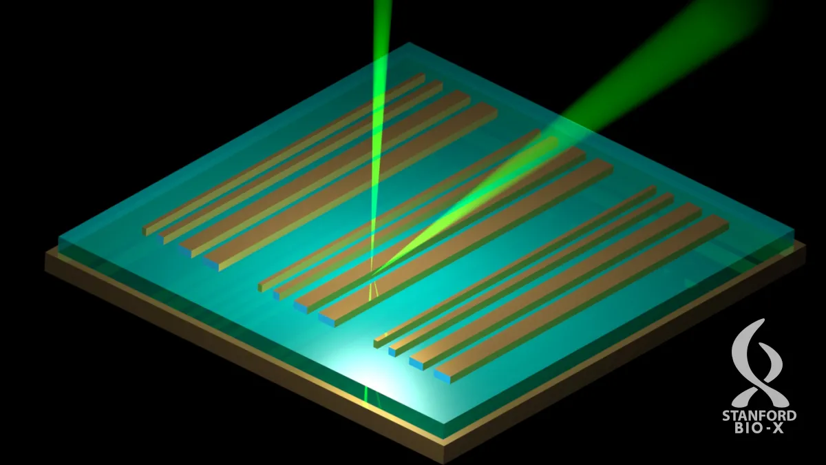 Swelling of nanoscale sponges drives metasurface light modulator | Welcome to Bio-X