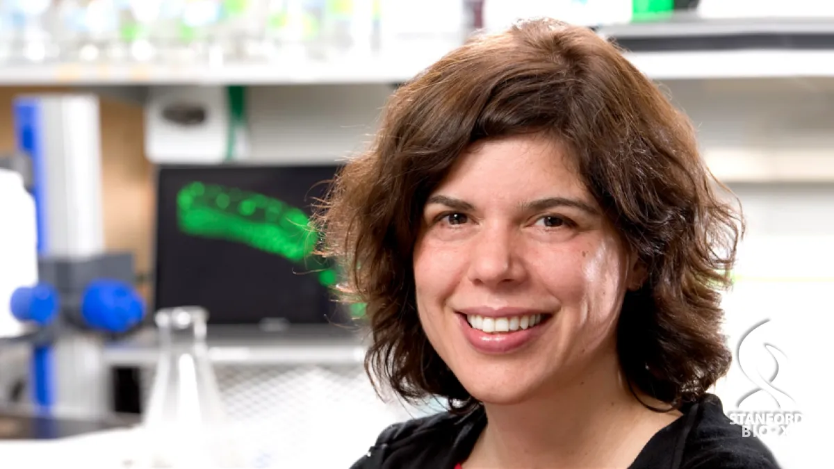 Anne Brunet awarded 2022 Lurie Prize in Biomedical Sciences | Welcome ...