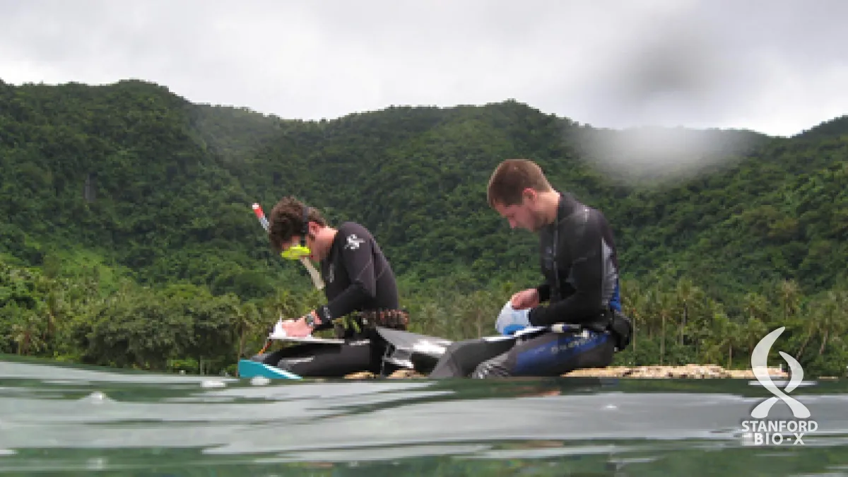 Stanford scientists find heat-tolerant coral reefs that may resist ...