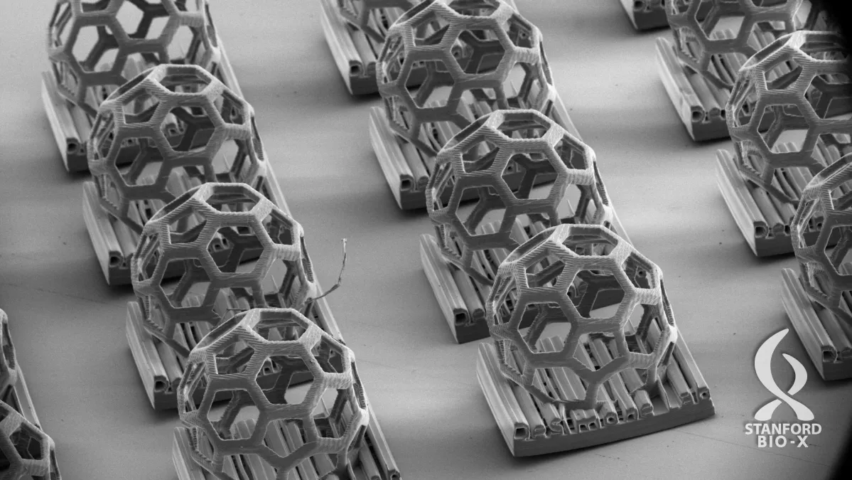 New high-speed microscale 3D printing technique | Welcome to Bio-X