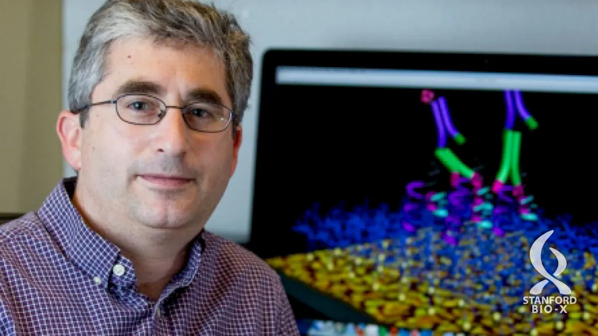 Hormone that controls maturation of fat cells discovered | Welcome to Bio-X