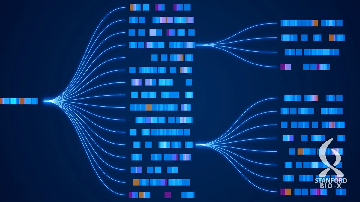 Researchers use machine learning to improve gene therapy | Welcome to Bio-X