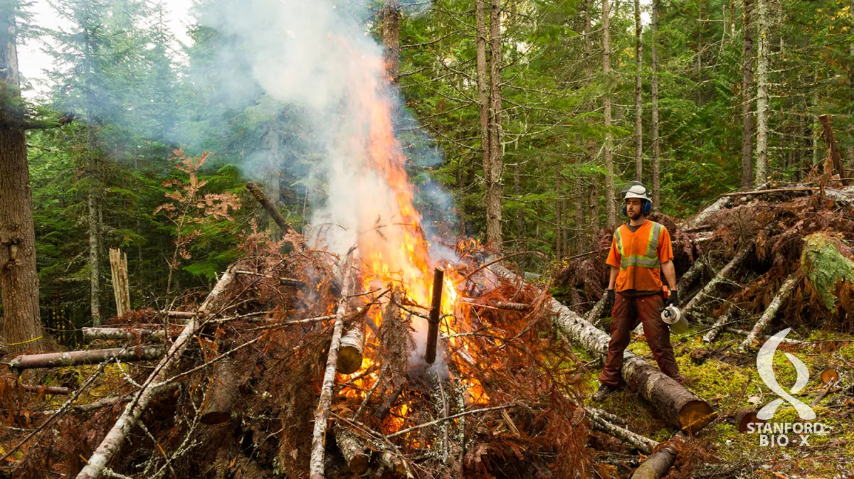 New study reveals how to make prescribed forest fires burn safer and ...