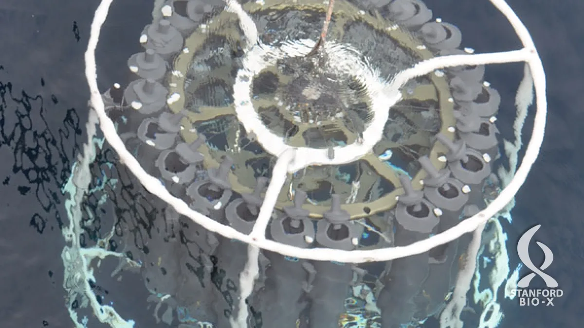 DNA left by ocean animals provides rare glimpse of marine ecosystems ...
