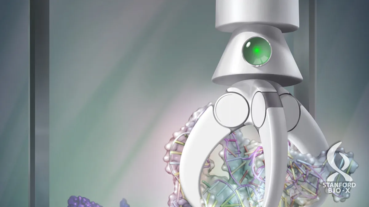 Stanford machine learning algorithm predicts biological structures more ...