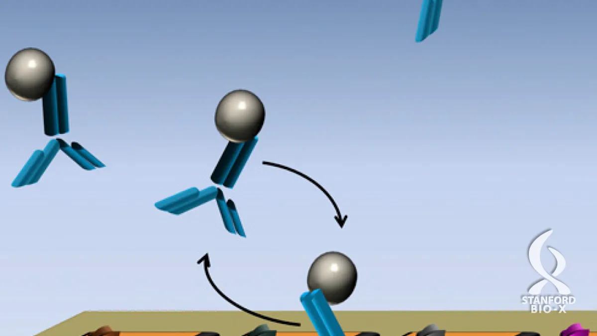 New biosensor microchip could speed up drug development, Stanford ...
