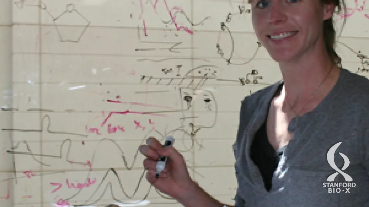 Sarah Denny - Bio-X Honorary Fellow