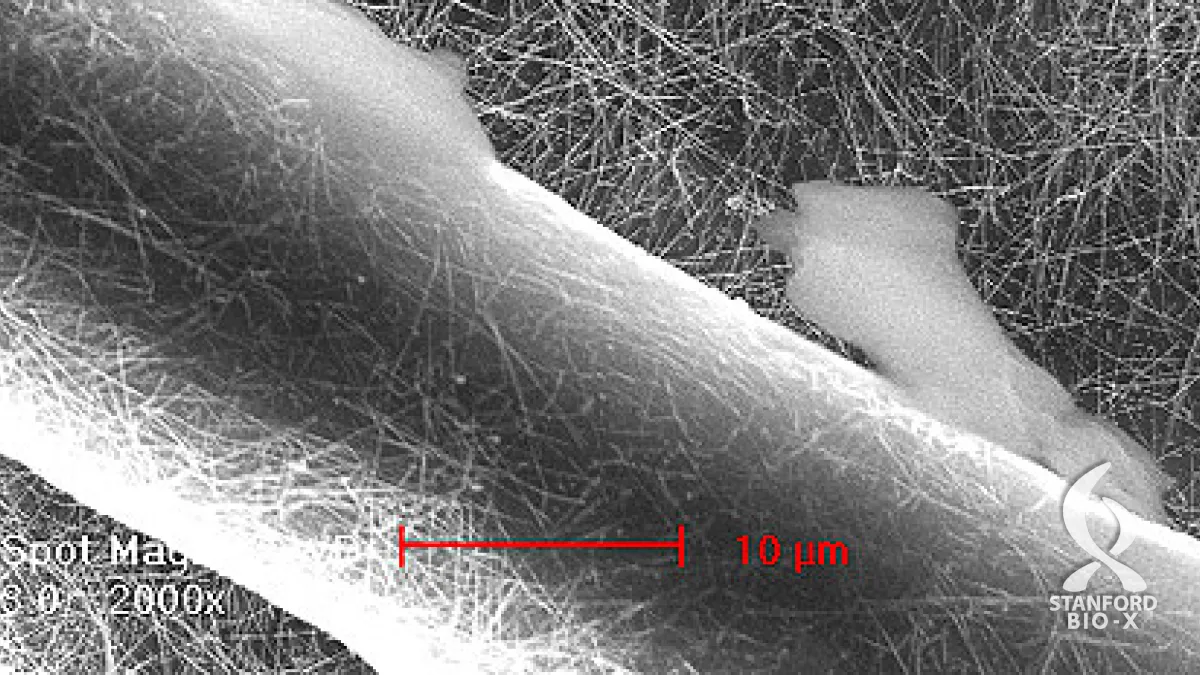 High-speed filter uses electrified nanostructures to purify water at ...