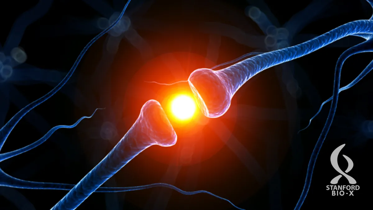 Efforts to refine tools for recording brain activity get $1 million ...