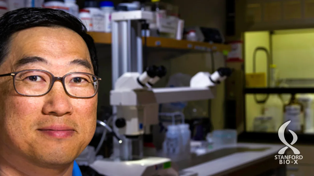 Age-dependent changes in pancreatic function related to diabetes ...
