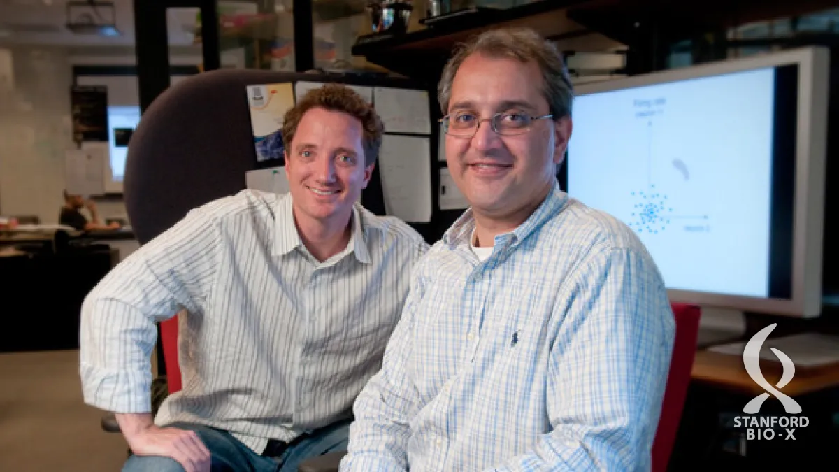Stanford scientists see the logic in the illogical behavior of neurons ...