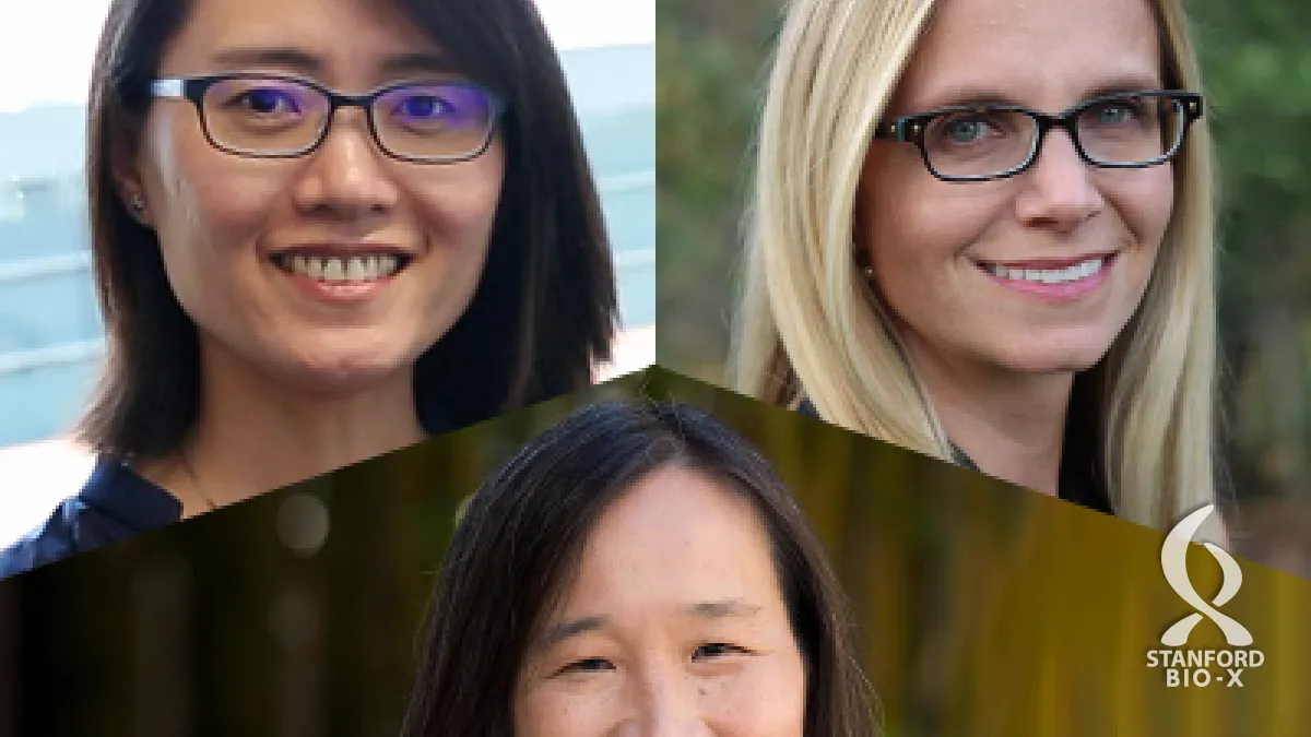 Interdisciplinary Initiatives Program Seed Grant: Engineering a ...